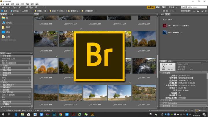 使用 Adobe Bridge 组织内容和资源 - 知乎