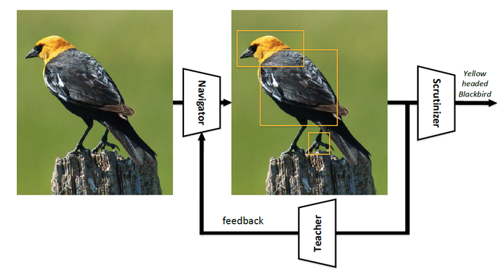 ECCV2018｜Learning to Navigate for FGVC (详细版) - 知乎