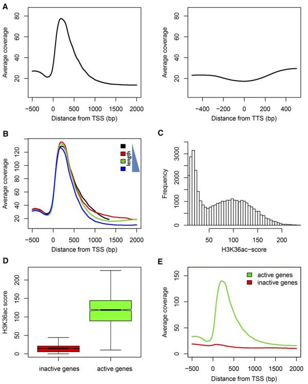 解析表观遗传学的工具——ChIP-seq（二） - 知乎