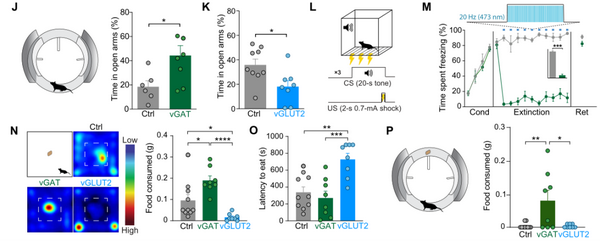 去猎食还是被猎食，一条神经环路抉择的两难《文献解读》BNST-PBN的神经环路改变威胁评估并能调节摄食行为 - 知乎
