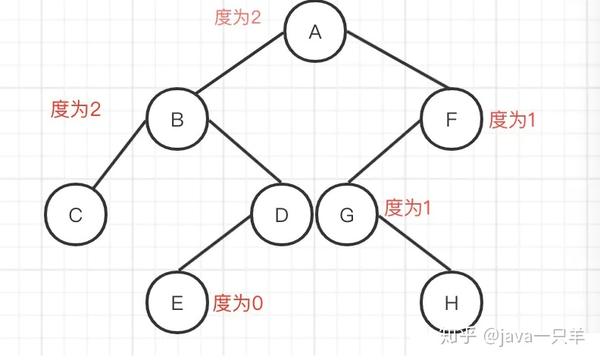 二叉树!!!数据结构与算法 看完这篇文终于搞明白了 知乎