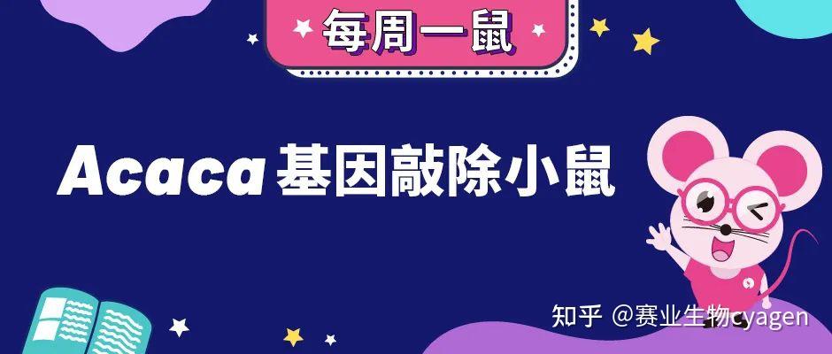 【每周一鼠】代谢性疾病的经典模型—Acaca基因敲除小鼠 - 知乎