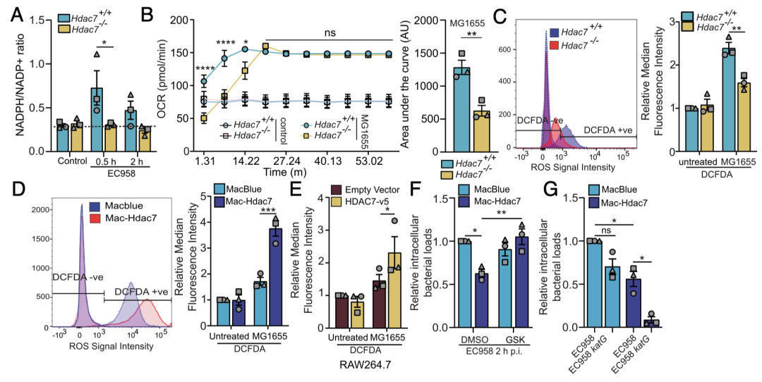 PNAS丨HDAC7 是一种免疫代谢开关，可对巨噬细胞中抗菌反应与炎症反应的危险信号进行分类 - 知乎