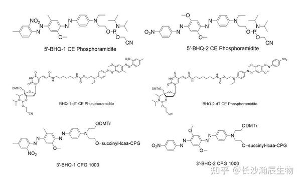 用于寡核苷酸标记的荧光染料 - 知乎