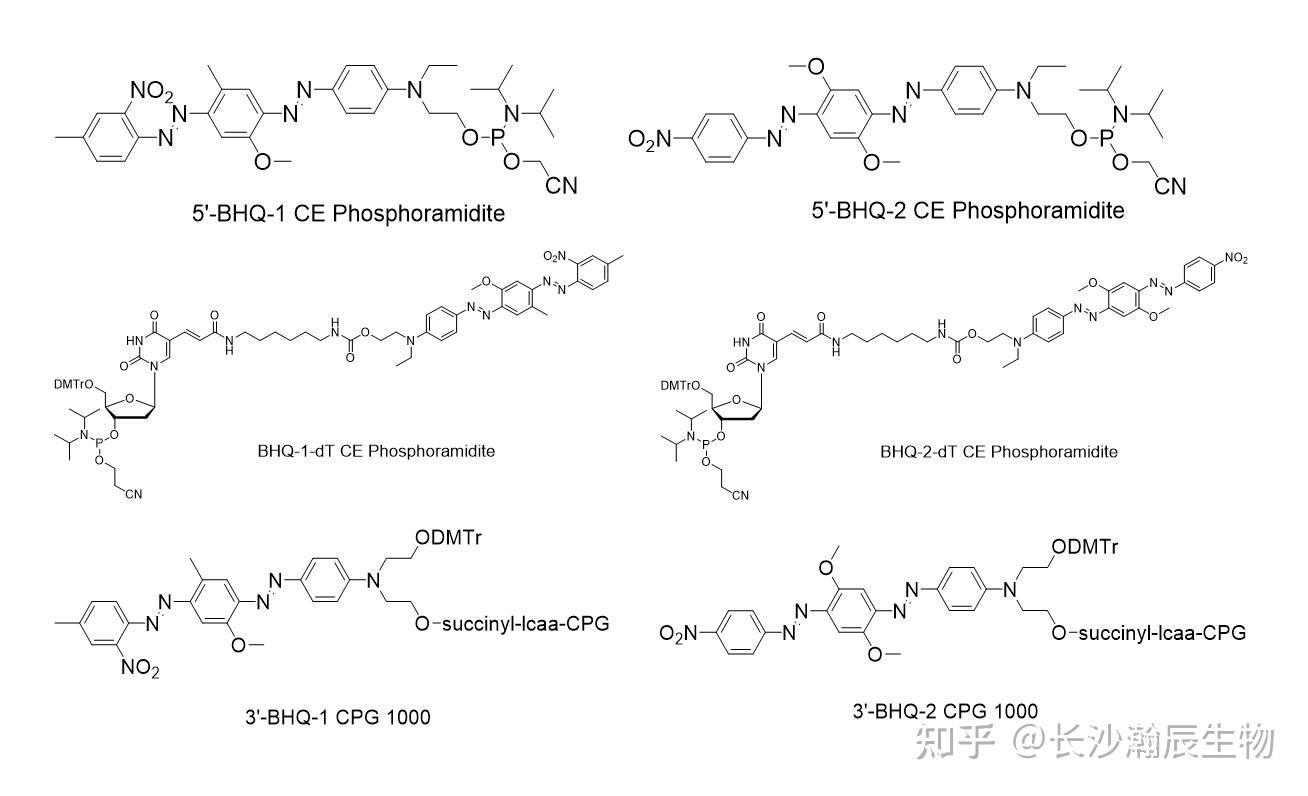 用于寡核苷酸标记的荧光染料 - 知乎