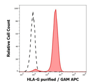 纯化抗BrdU检测丨EXBIO BrdU抗体应用 - 知乎