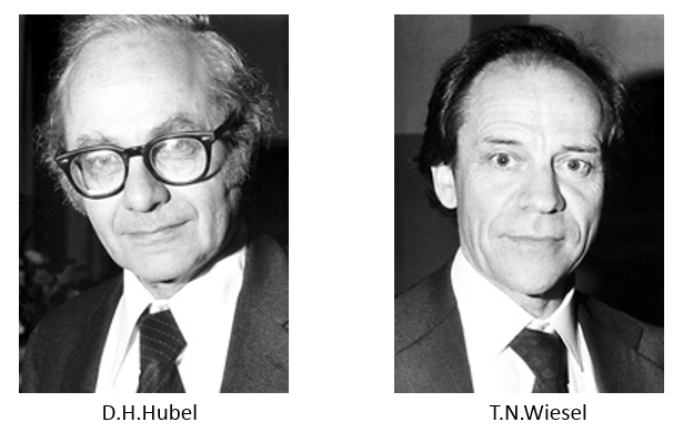 眼见怎样为实？ - 知乎