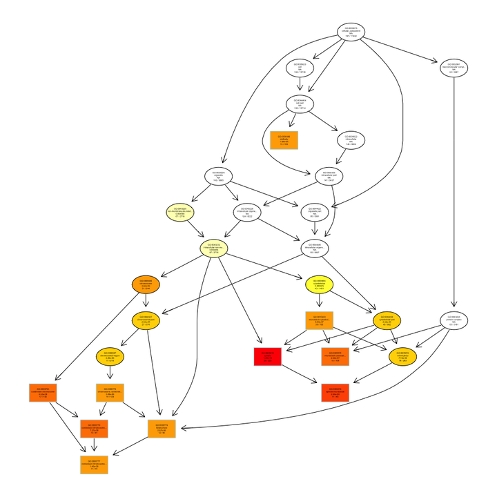 富集分析：（二）topGO - 知乎