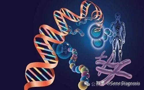 基因组学包括的内容有哪些？ - 知乎