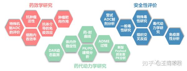 ADC 生产制备流程及关键质量属性概要 - 知乎