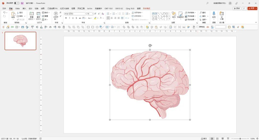 又一个生物与医学PPT素材神器：BioRender - 知乎