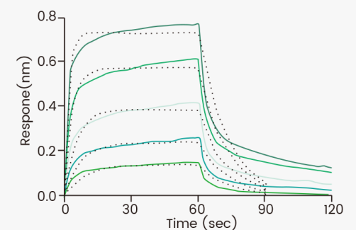 Fc region为何如此重要？ - 知乎