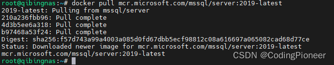 群晖Docker部署Microsoft SQL Server 2019 - 知乎