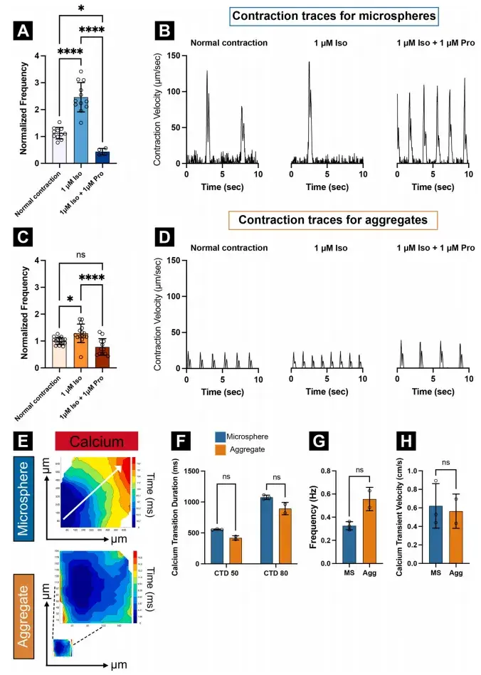 《Bioact. Mater.》：水凝胶微球技术增强心肌细胞分化和功能 - 知乎