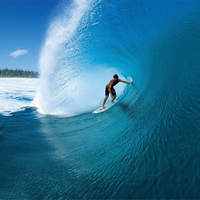 80端口的烦恼：[3]清除NT Kernel占用80端口 - 知乎