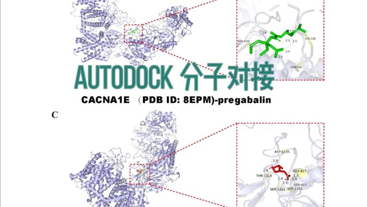 autodock分子对接文献解读 - 知乎