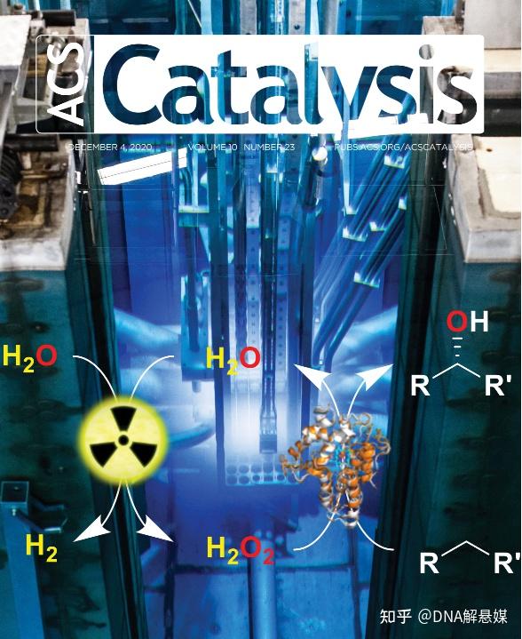 ACS Catalysis封面—核废料和生物催化：可持续的联系？ - 知乎