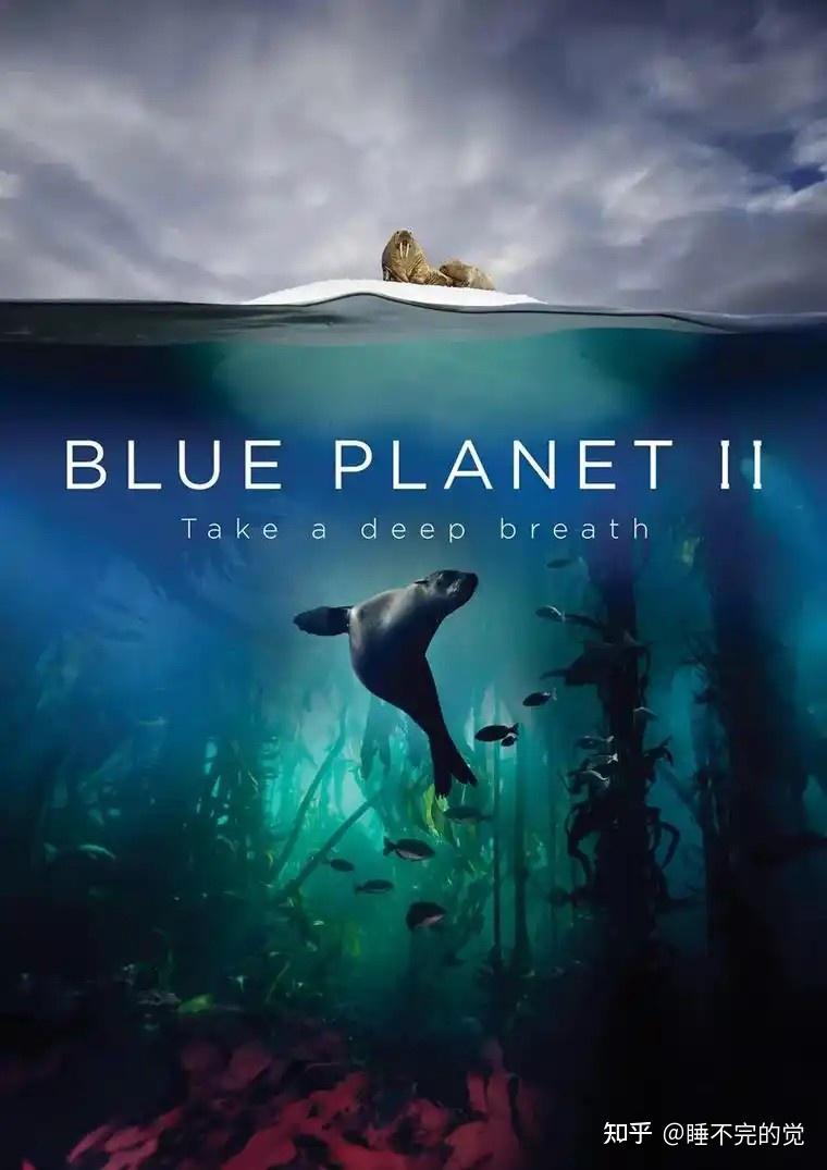 能不能推荐几部值得看的纪录片？ - 知乎