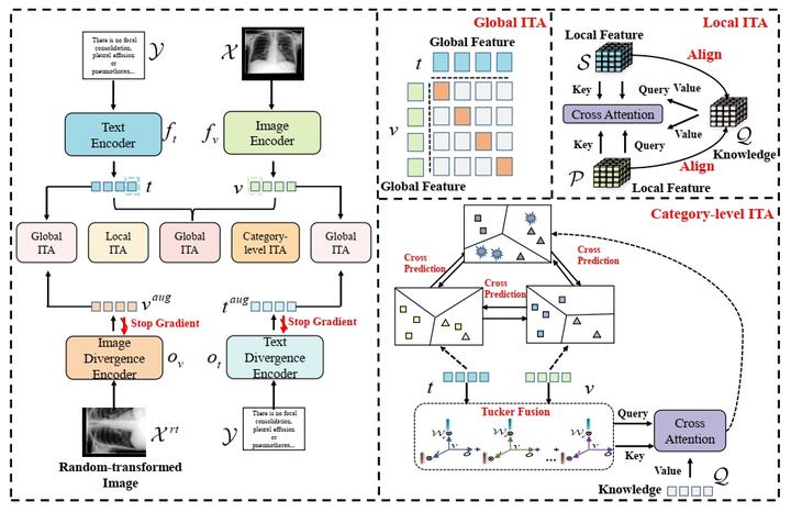 CVPR 2024 | MLIP：增强医学视觉表示！利用发散编码器和知识引导对比学习 - 知乎