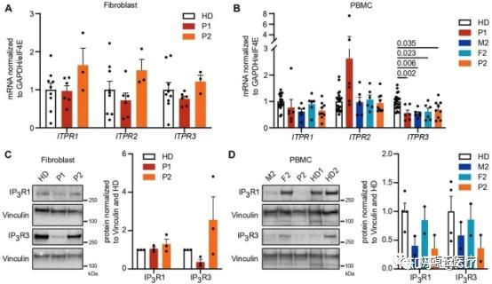 Cellular &Molecular Immunology│功能性IP3受体3亚型缺陷患者Ca2+稳态紊乱和免疫缺陷 - 知乎