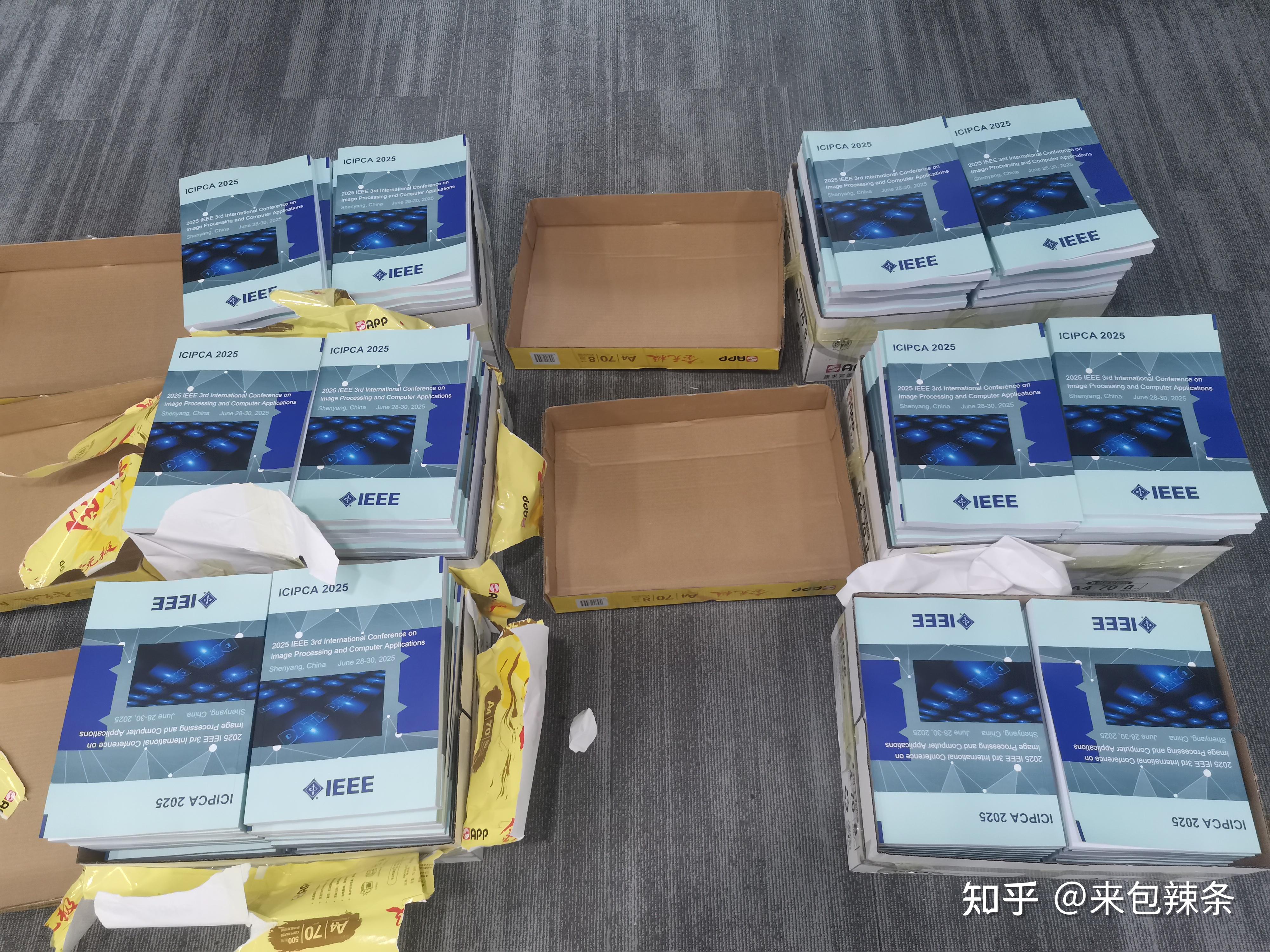 IEEE ICIPCA 2025会议论文集已出版 - 知乎