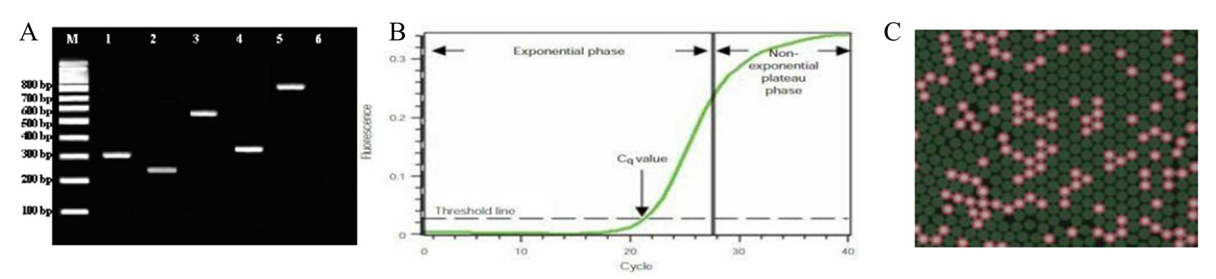 ddPCR介绍 - 知乎