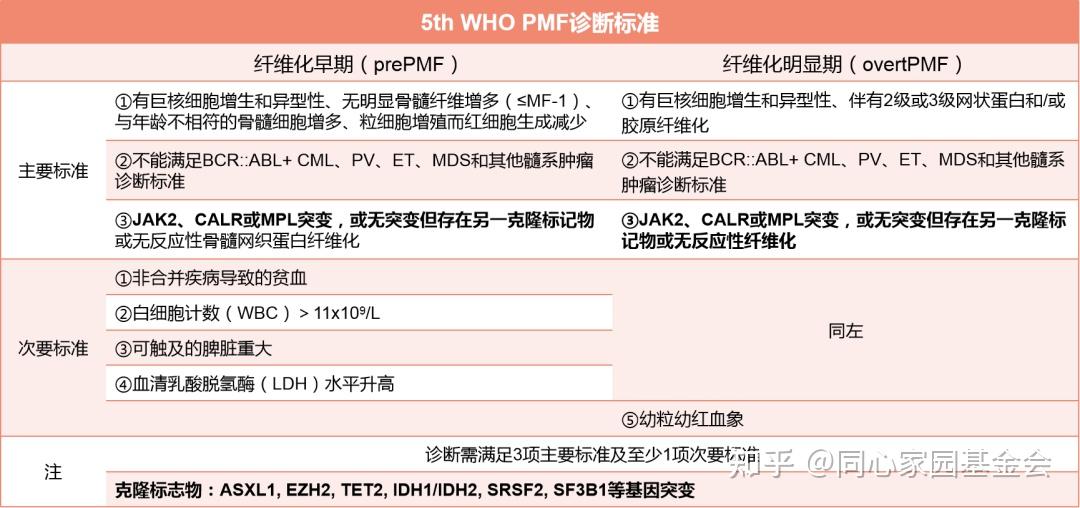 经典型MPN：PV/ET/PMF （1） - 知乎