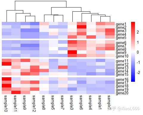 使用pheatmap包绘制热图 - 知乎