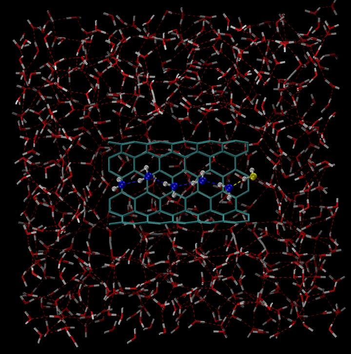 VMD软件简单操作介绍 - 知乎