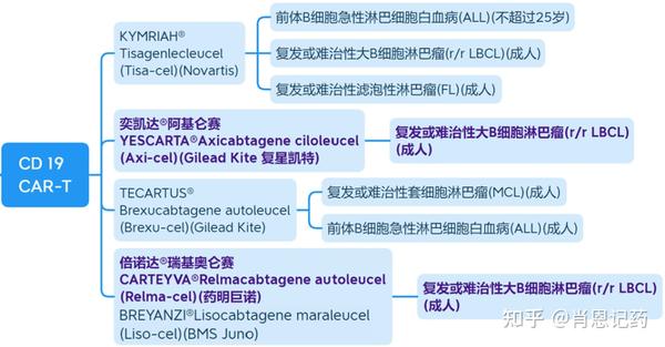 记住所有FDA生物药 | 4款CD19 CAR-T | 阿基仑赛、瑞基奥仑赛、替基仑赛，布基奥仑赛 | 大B细胞淋巴瘤 - 知乎