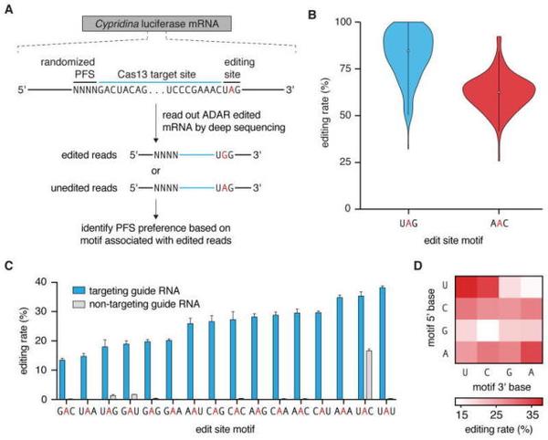 Science｜CRISPR-Cas13编辑RNA - 知乎