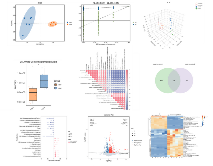 CNS级生信分析 | 代谢报告全新升级：丰富美观全都有！ - 知乎