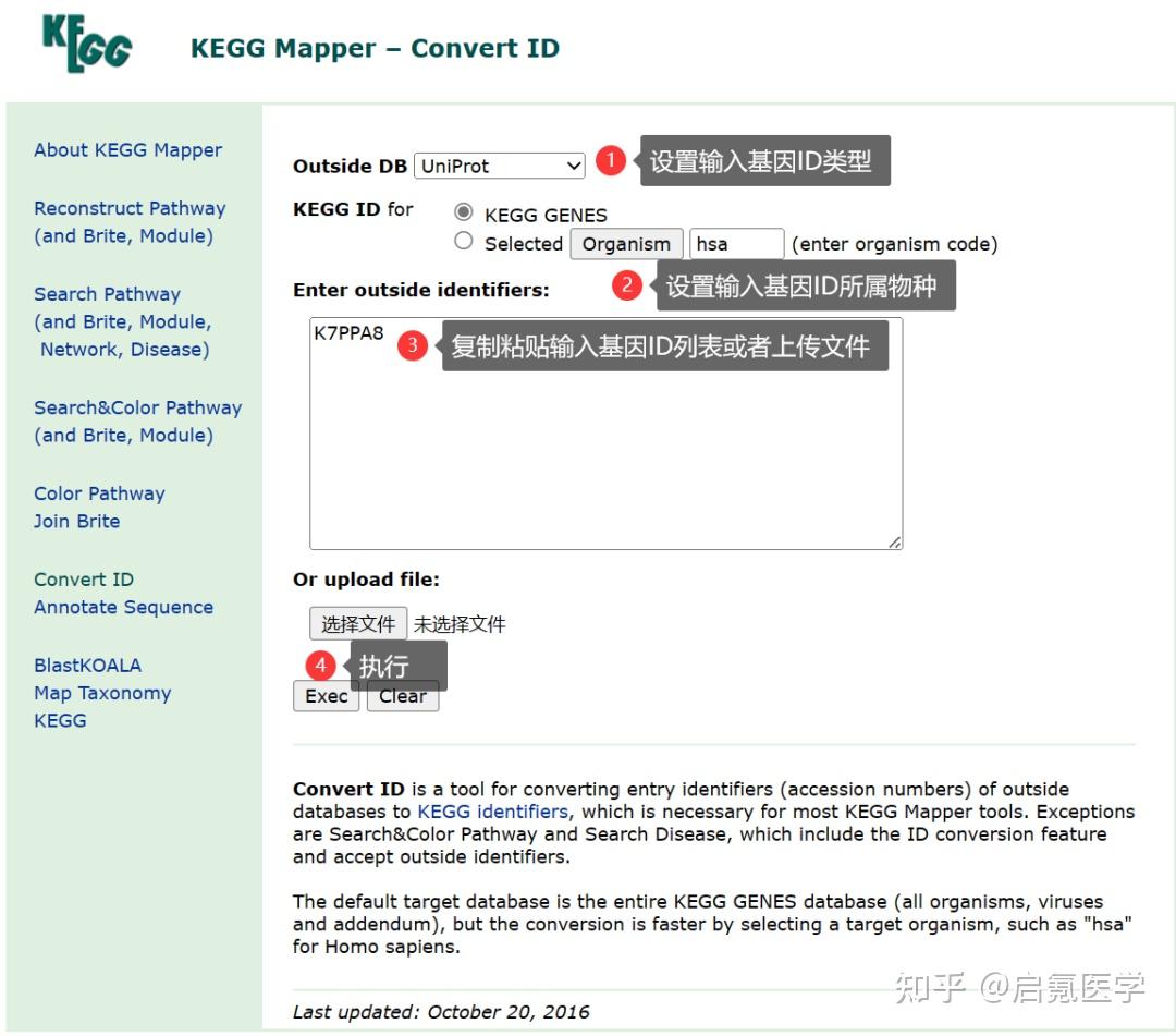 一文教你进行多种ID转换（下） - 知乎