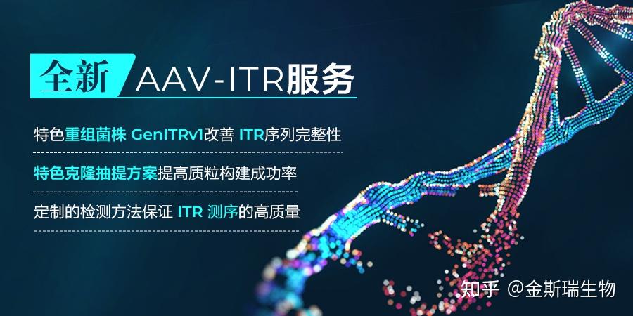 Nature子刊：人工合成的ITR 可用于AAV载体构建，有望改善基因疗法 - 知乎