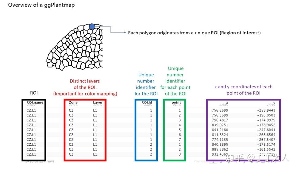 植物可视化—ggPlantmap - 知乎