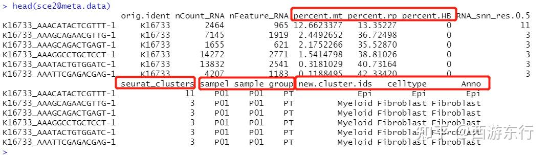 scRNA分析|Marker gene 可视化 以及 细胞亚群注释--你是如何人工注释的？ - 知乎