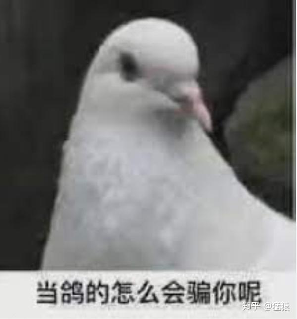 图解大模型训练系列之：DeepSpeed-Megatron MoE并行训练（源码解读篇） - 知乎