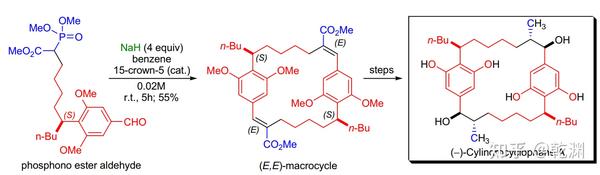 Horner-Wadsworth-Emmons 烯烃化（HWE 烯烃化） - 知乎
