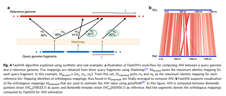 FastANI: 平均核苷酸一致性计算 - 知乎