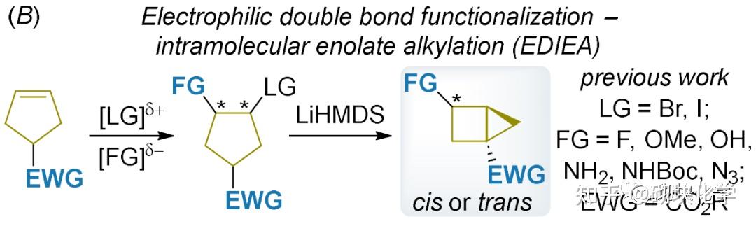 药物设计新宠：双环[m.n.k]饱和烷分子砌块的合成 - 知乎
