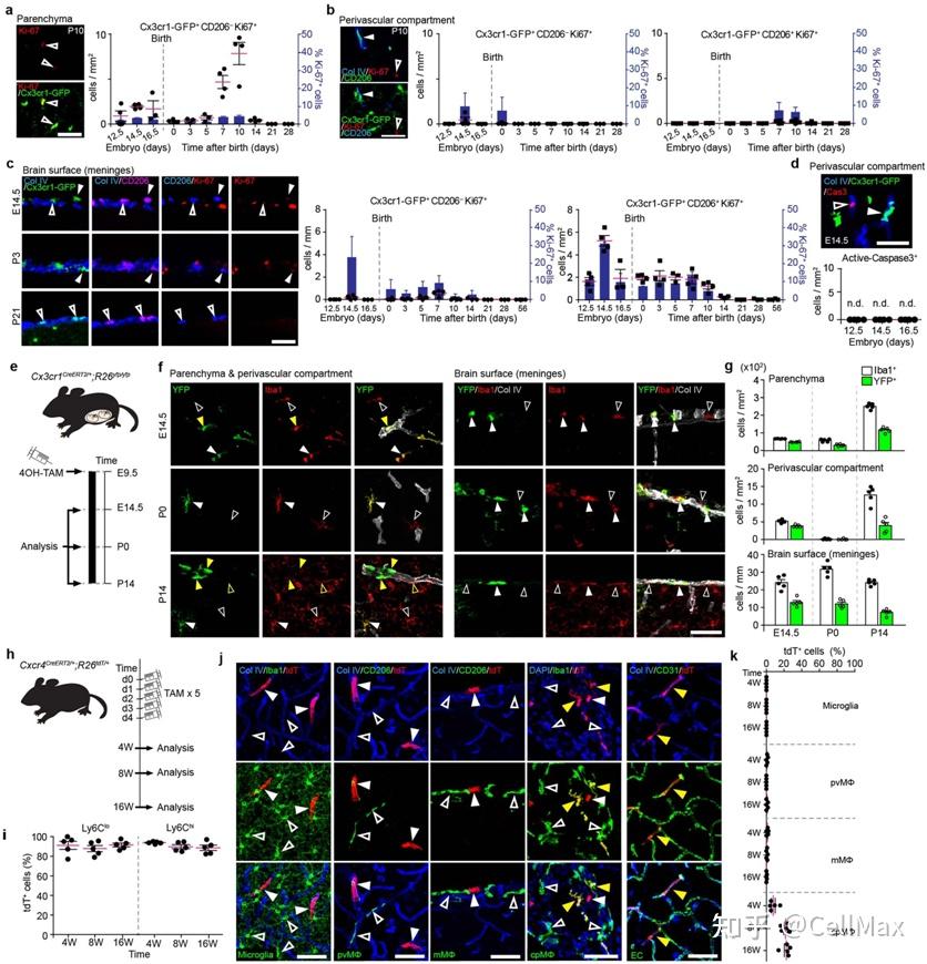 2022年4月Nature期刊精华 - 知乎
