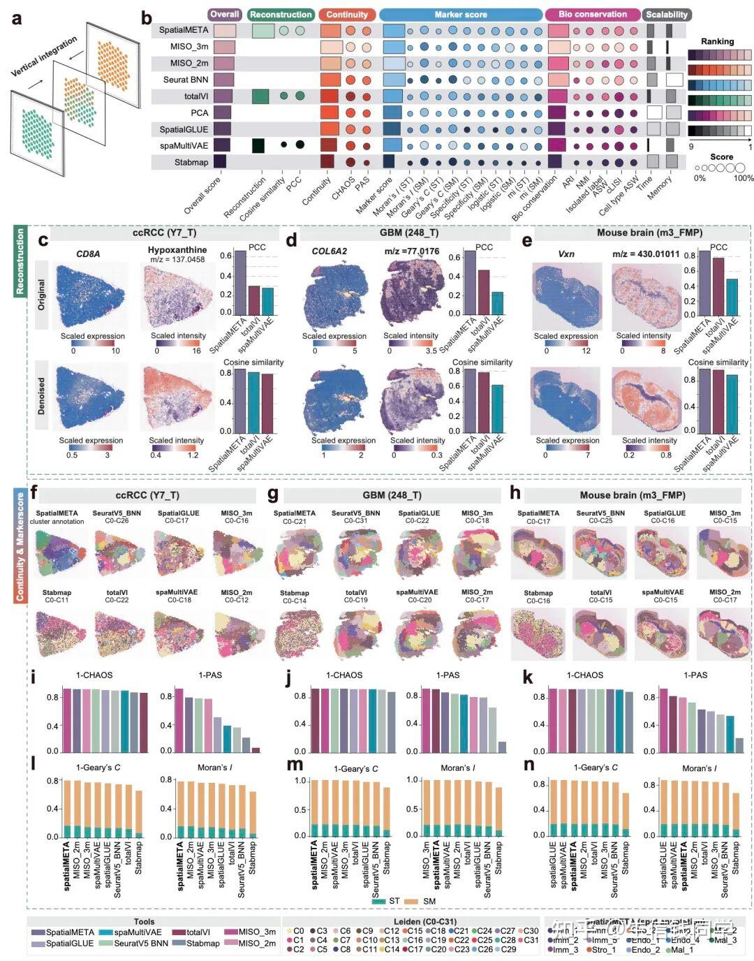 浙大SpatialMETA这个工具有意思，空间转录与空间代谢整合，有潜力，做的人少 - 知乎