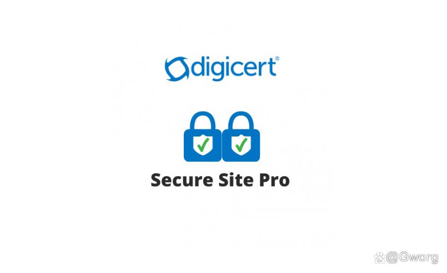 迪杰斯特企业版通配符SSL证书DigiCert Secure Site Wildcard - 知乎