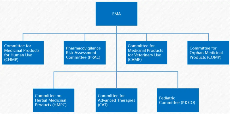 欧洲药品管理局（EMA） - 知乎