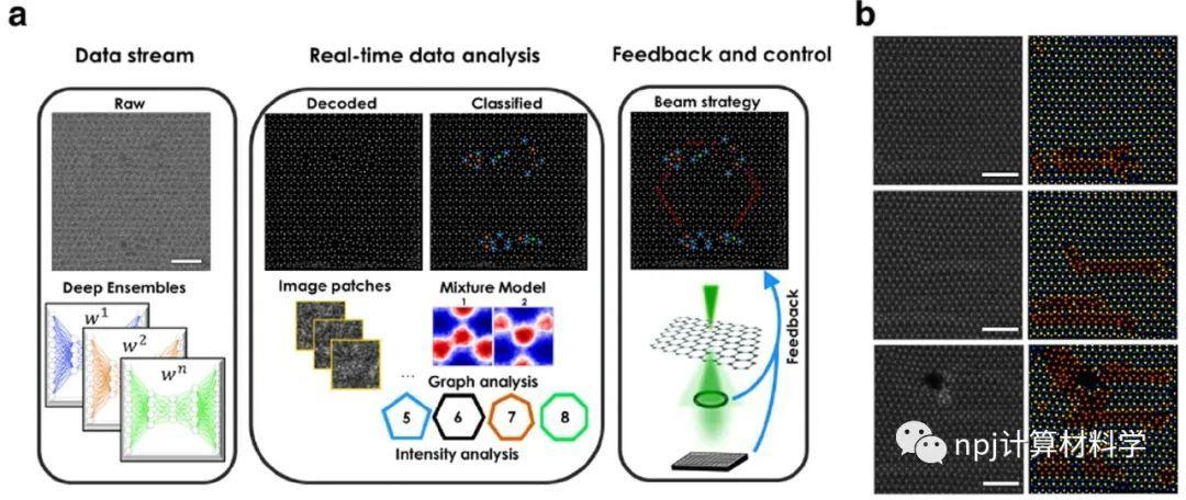 当电子显微镜遇上AI：自动化实验引领科技新潮流 - 知乎