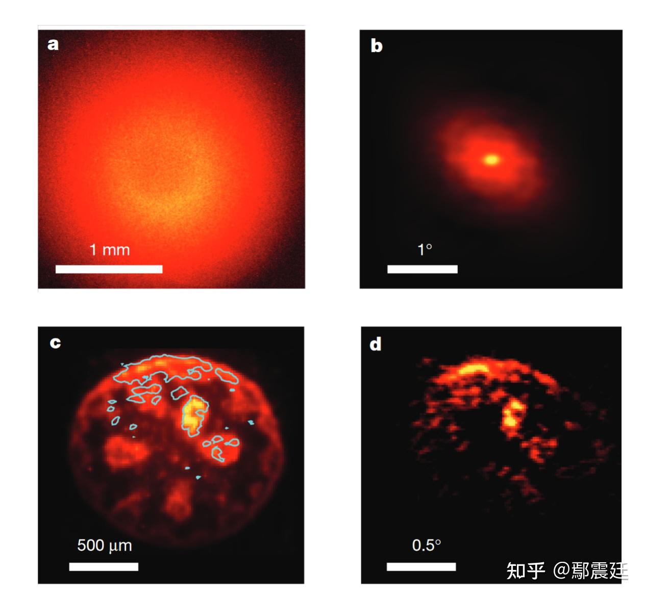 Non-invasive imaging through opaque scattering layers阅读笔记 - 知乎