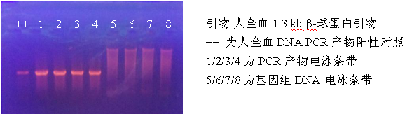 如何提高核酸纯度--提高OD260/OD230比值的方法 - 知乎