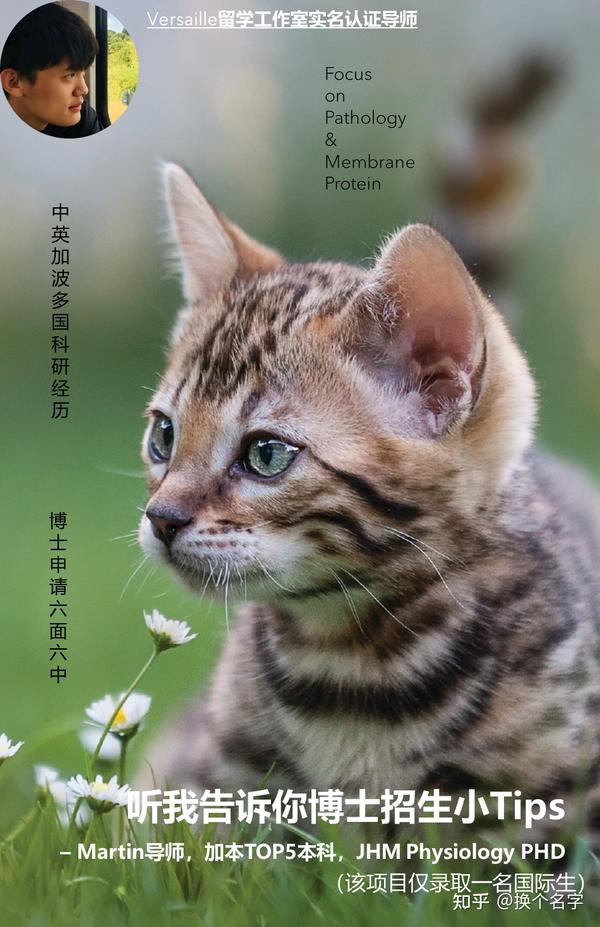 申请季-选择哪家中介？ - 知乎