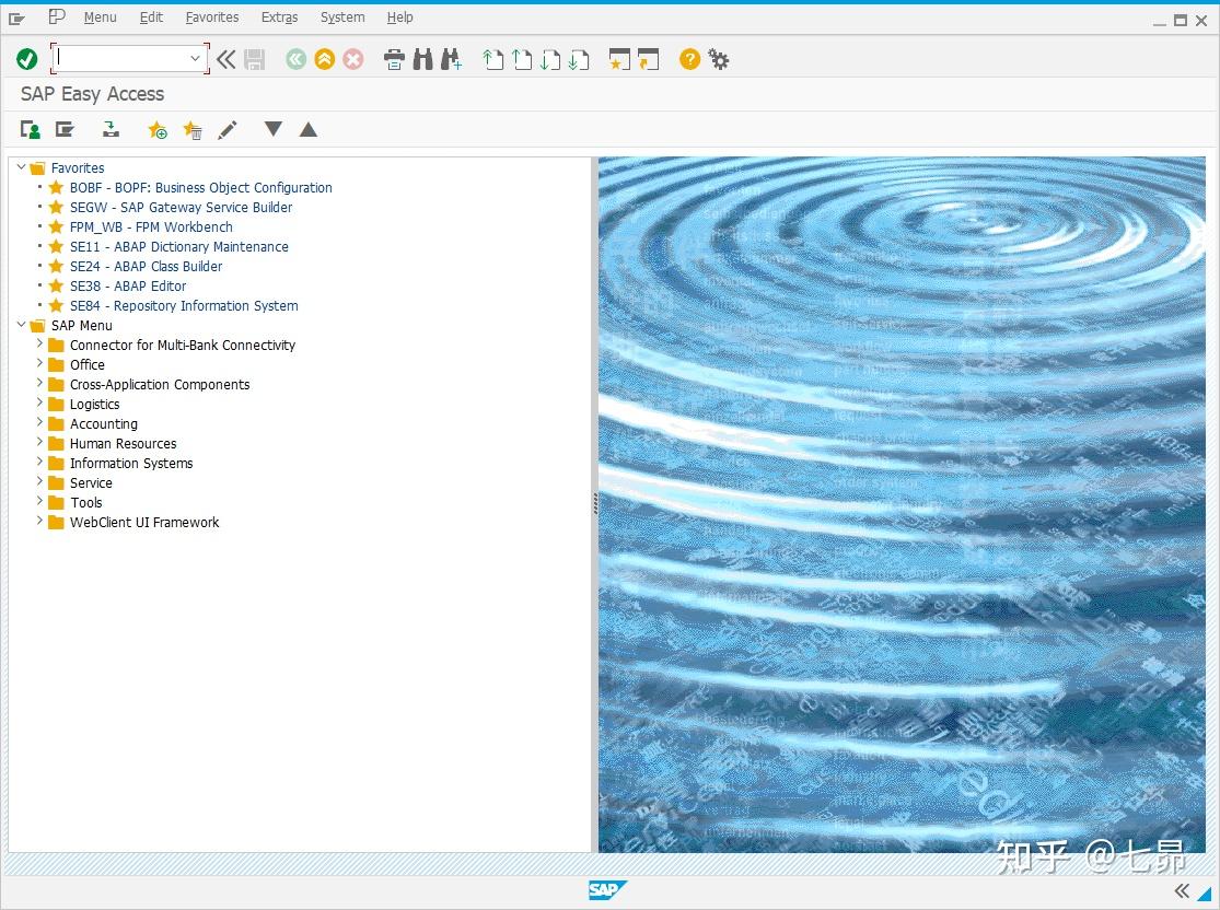 思爱普（SAP）真难之GUI主题设置 - 知乎