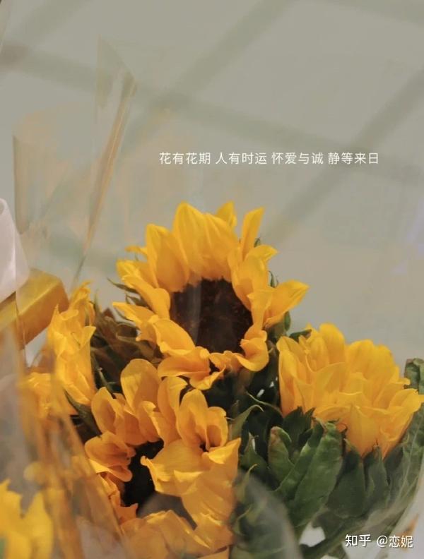 情感文案分享 知乎